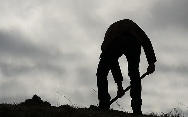 Digging for a Story | Joseph Massucci